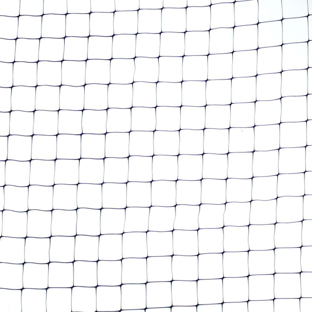 Star Arch Frame Kit - 11ft H X 11ft W - Silver Rainbow